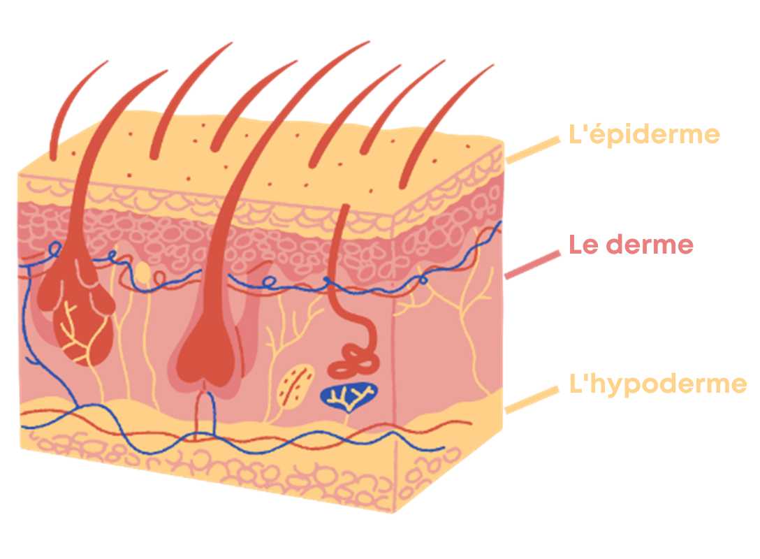 Calendeel plus | Voici comment reconnaître une peau irritée